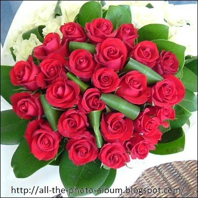 My Beautiful Picutre Album: Bunch of Red roses with green leaves