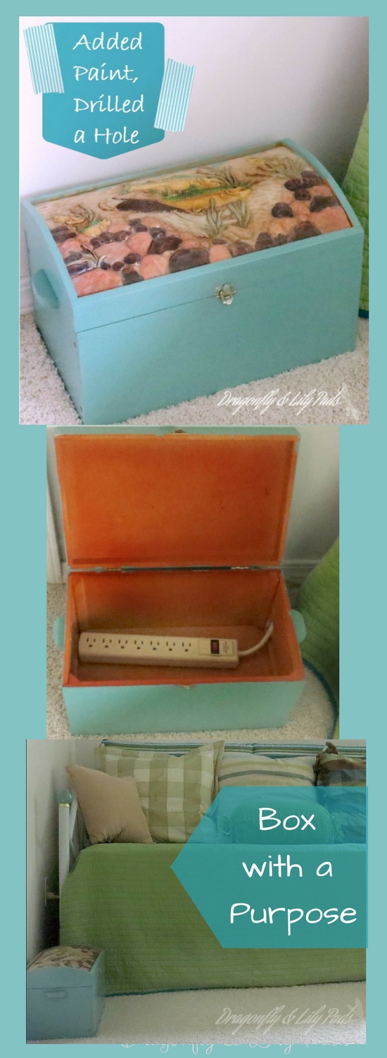 Dragonfly & Lily Pads: A Box with a Purpose