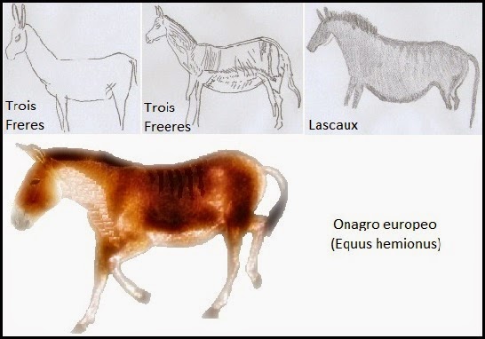 TIERRA SYLVANA: ÉQUIDOS (II): EL ZEBRO O ENCEBRA (EQUUS HYDRUNTINUS).