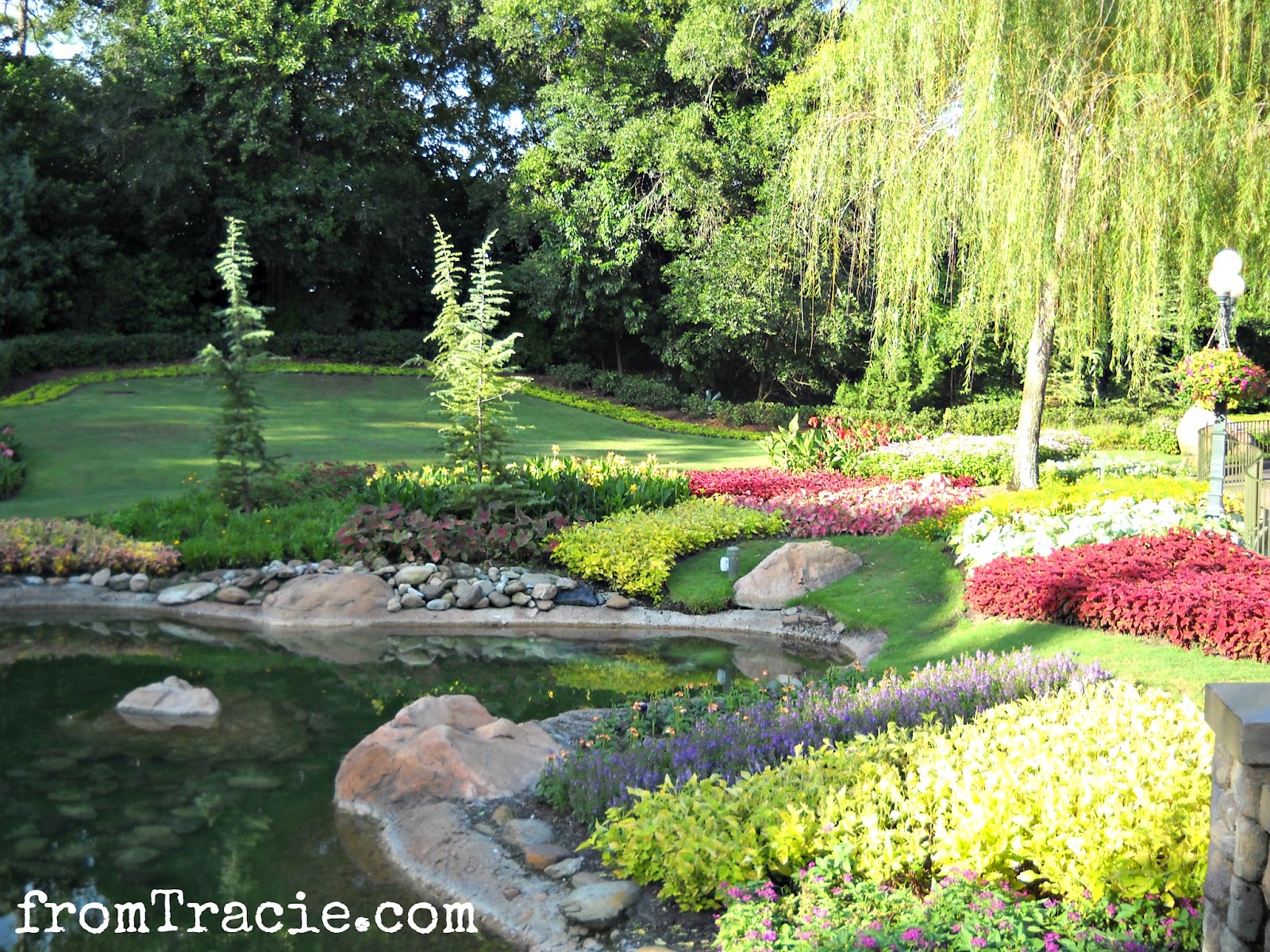 From Tracie: September 2012