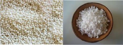 BELÉM E REGIÃO PUBLICIDADE: CULINÁRIA DO PARÁ