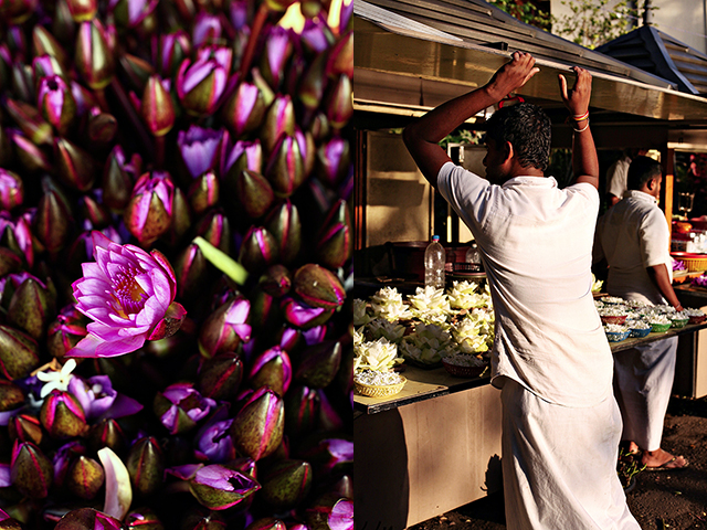 line x shape x colour: kandy, sri lanka - part one: