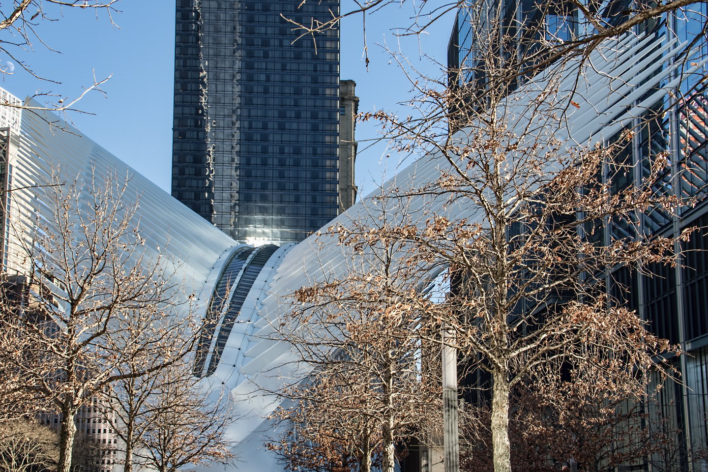 travelswithkathleen: More of the Oculus