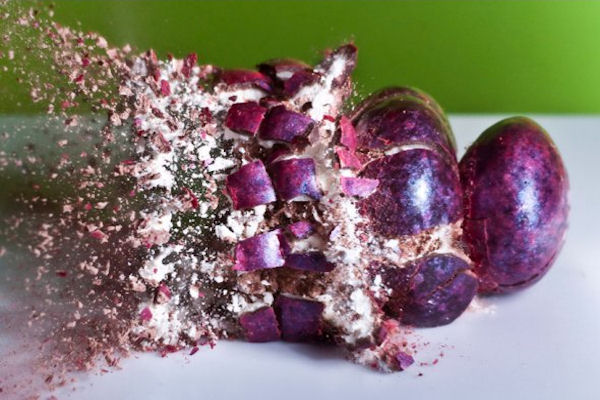 Mundo curioso: Explosión de la fruta