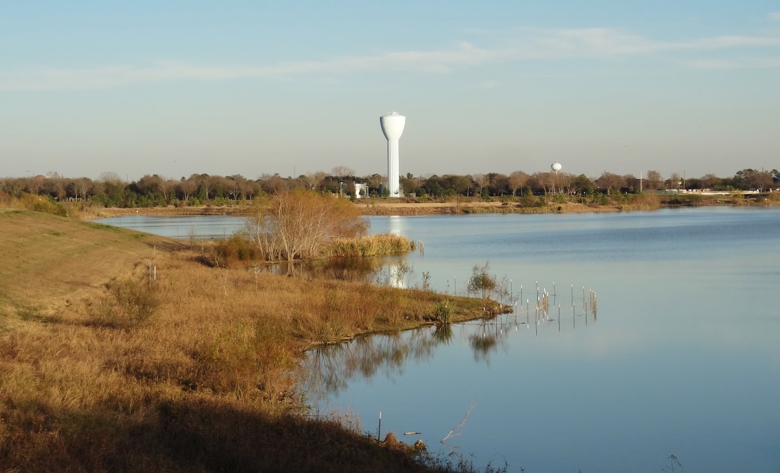 H-Town-West Photo Blog: Winter Landscape with Water Tower in West Houston