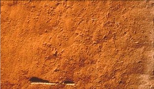 Tipos de suelos en Venezuela y sus características