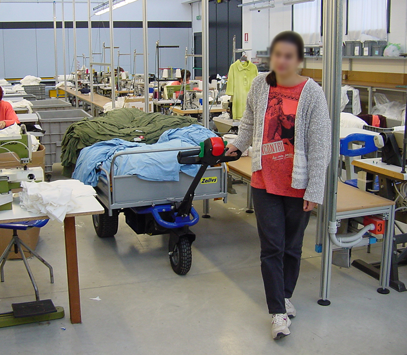 Zallys HT - Flatbed electric cart