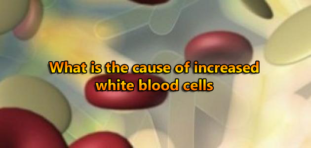 What is the cause of increased white blood cells - Motivational Fearless