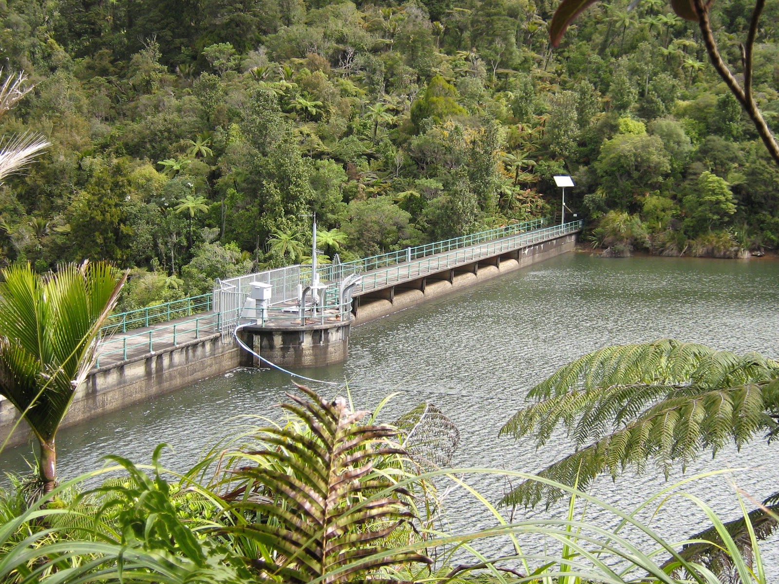 Waitakere Trails: 5 - Upper Huia Dam Track (Huia)