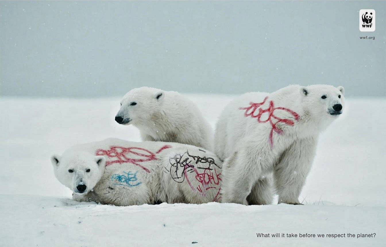 camilleditsonopinion: Publicité imprimée de WWF.