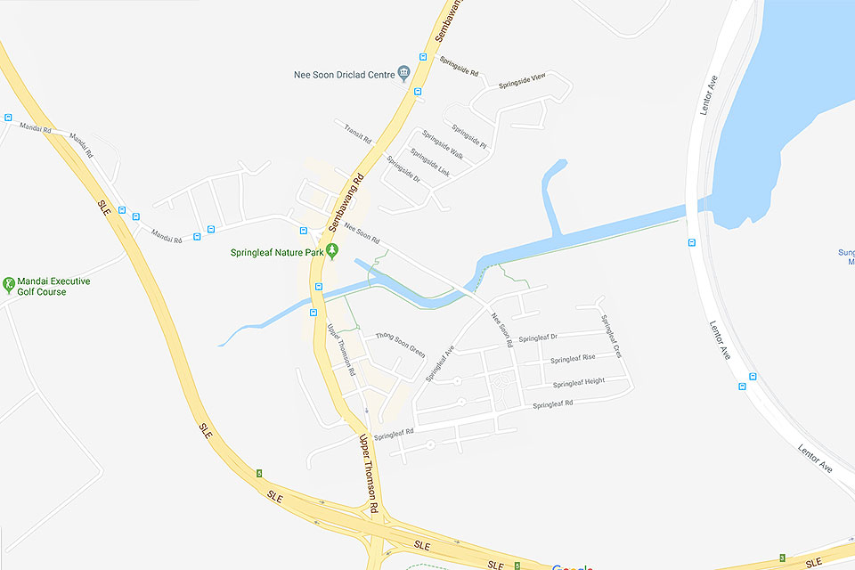 Butterflies of Singapore: Butterfly Photography at Our Local Parks ...