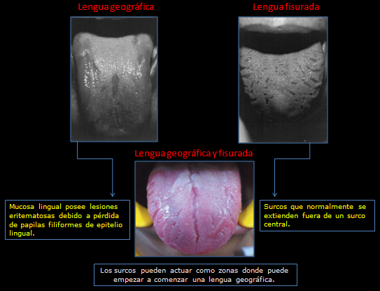 SEMINARIO 2: Estrategias de búsqueda y recopilación de información ...