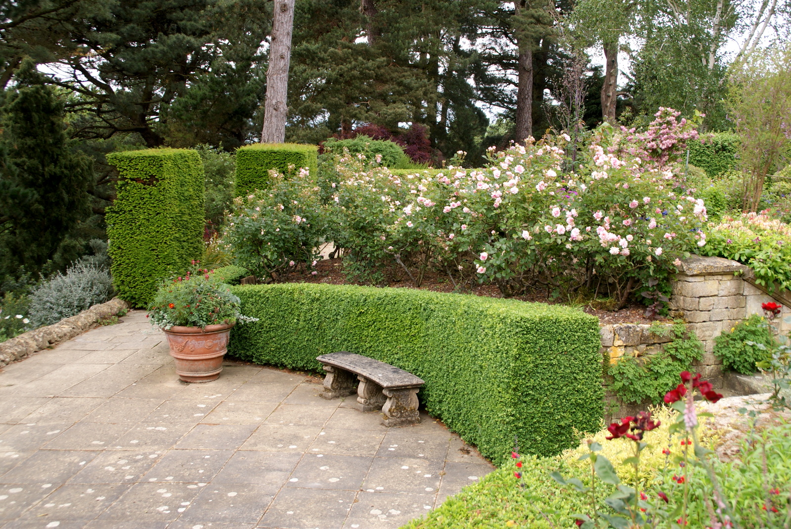 Organic Garden Dreams: Kiftsgate Court Gardens, England I