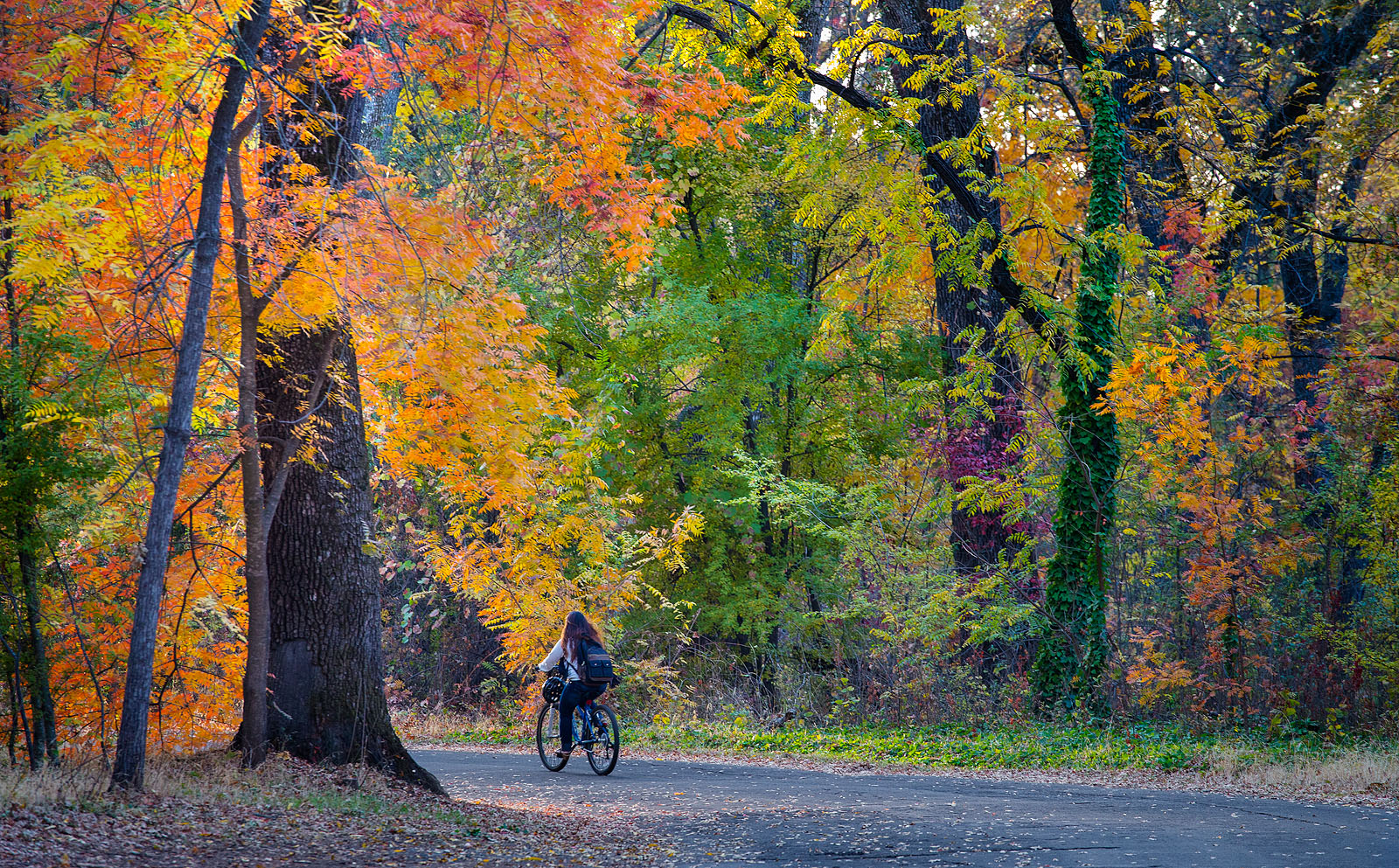 Anthony Dunn Photography: Fall in Bidwell Park, Chico - Part 1