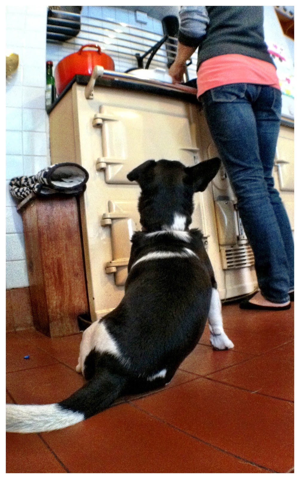 The Gallivanting Grasshopper: Crubeen Disaster -- Cork, Ireland