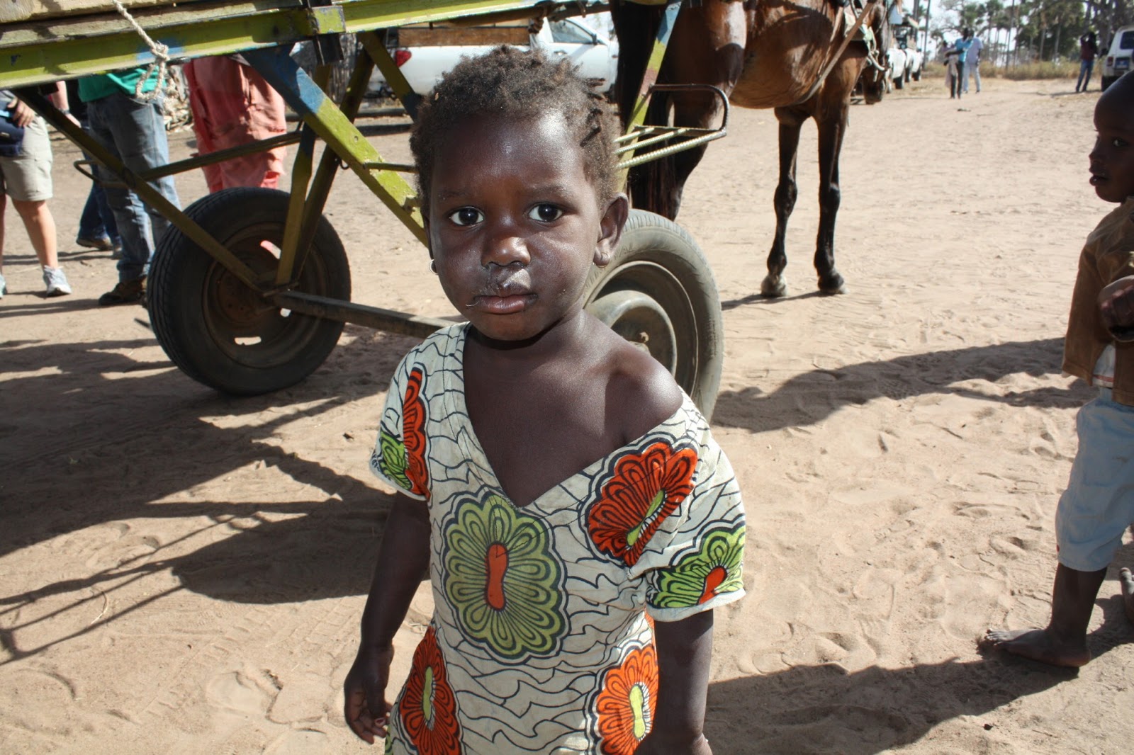 Mi Universo Viajando: PARQUE NATURAL SINE SALOUM SENEGAL
