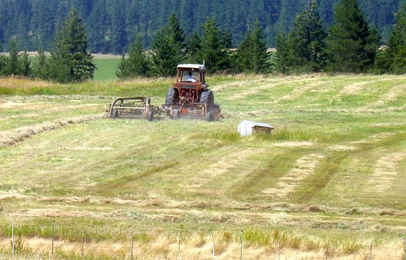 Rural Revolution: The hay is baled!