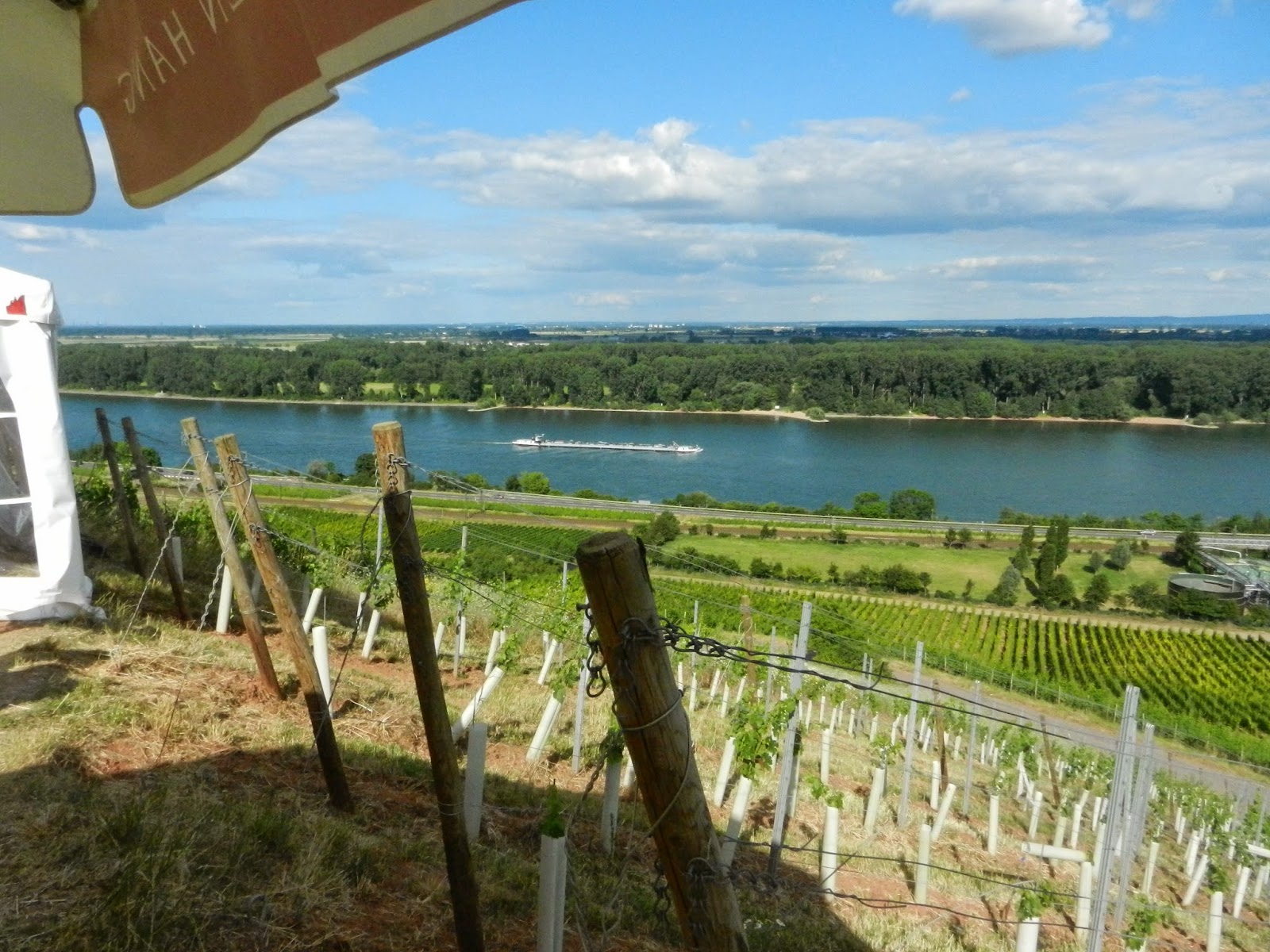schiller-wine: Tasting the Wines of the Roter Hang (Red Slope ...