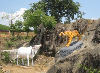 Mad(y) Musings n More: Punyakoti emba govu ... An original story