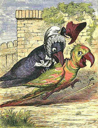 BOOKTRYST: Meet Paul Parrot, Rare Bird Casanova & Star Of Rare Book