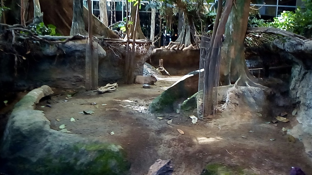 Trabajar en el zoo: Visita a CosmoCaixa Barcelona