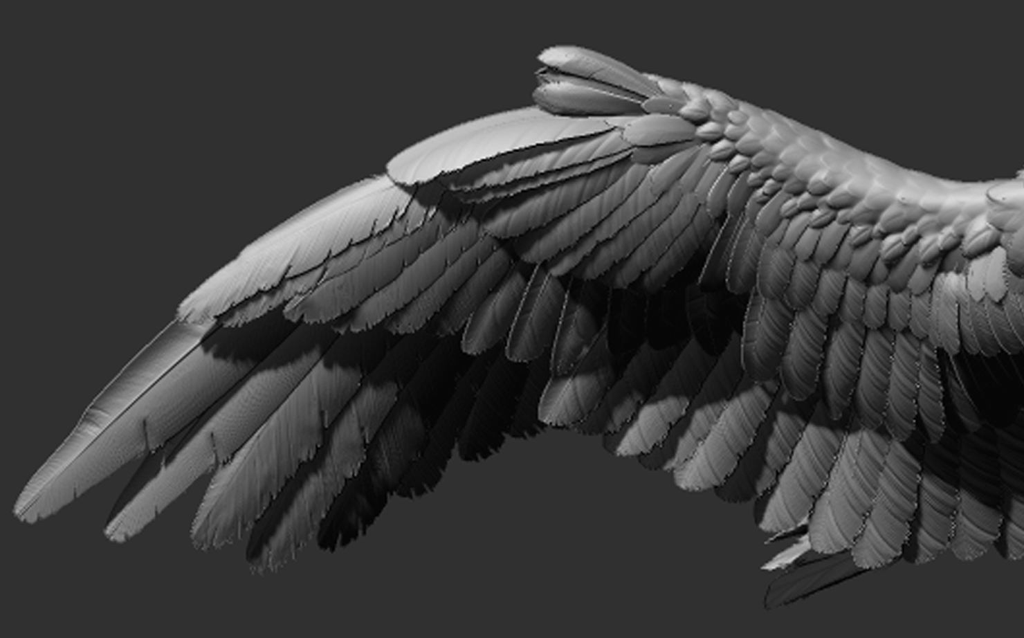 Darya Girina Zbrush Endless Way: Modelling bird feather and wings ...
