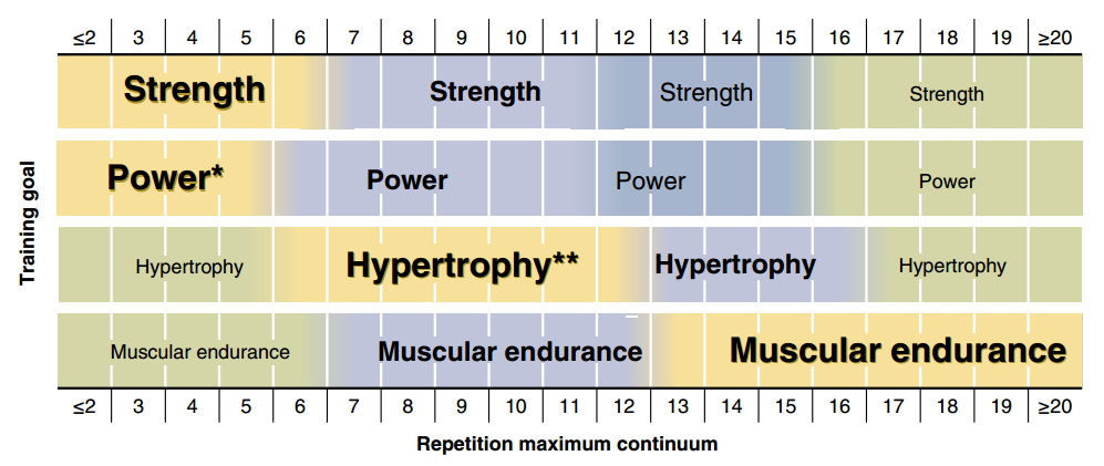 重訓健身：專有名詞篇 (Repetition of Maximum, RM) | Mr. Opengate