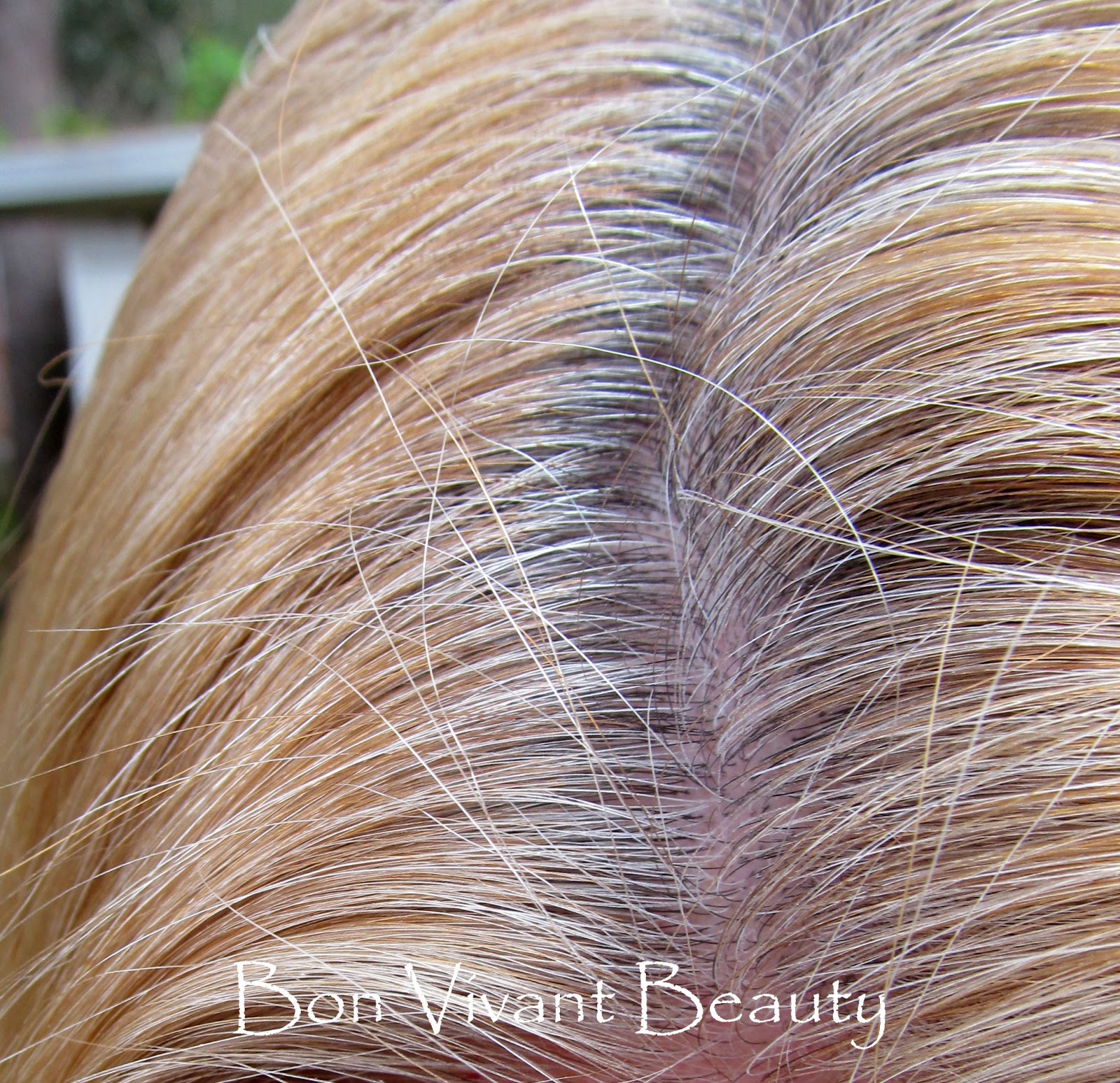 Bon Vivant Beauty: Olia Oil Powered Permanent Hair Color in Medium ...