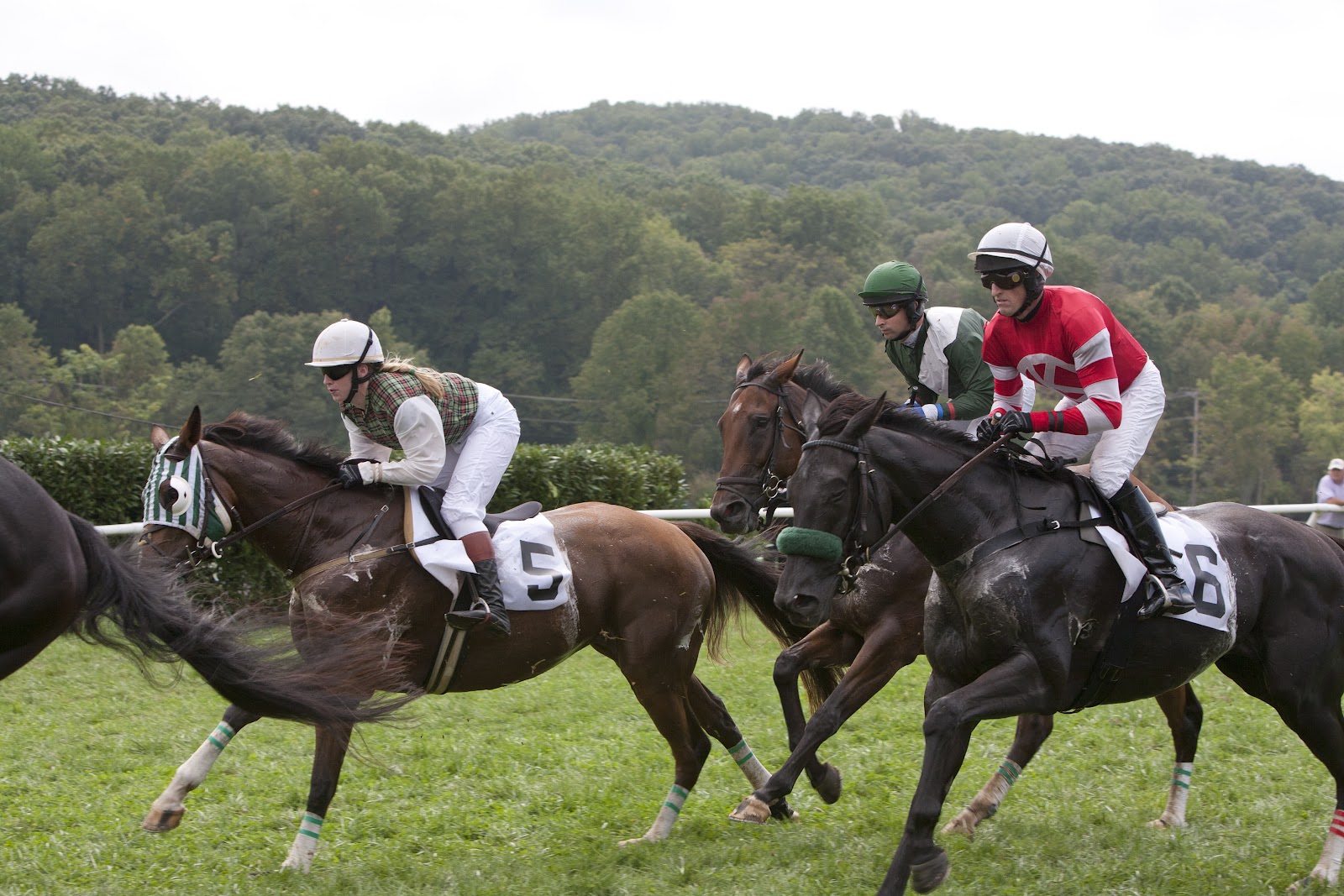 Legacy Chase at Shawan Downs | Living Healthy, Living Well