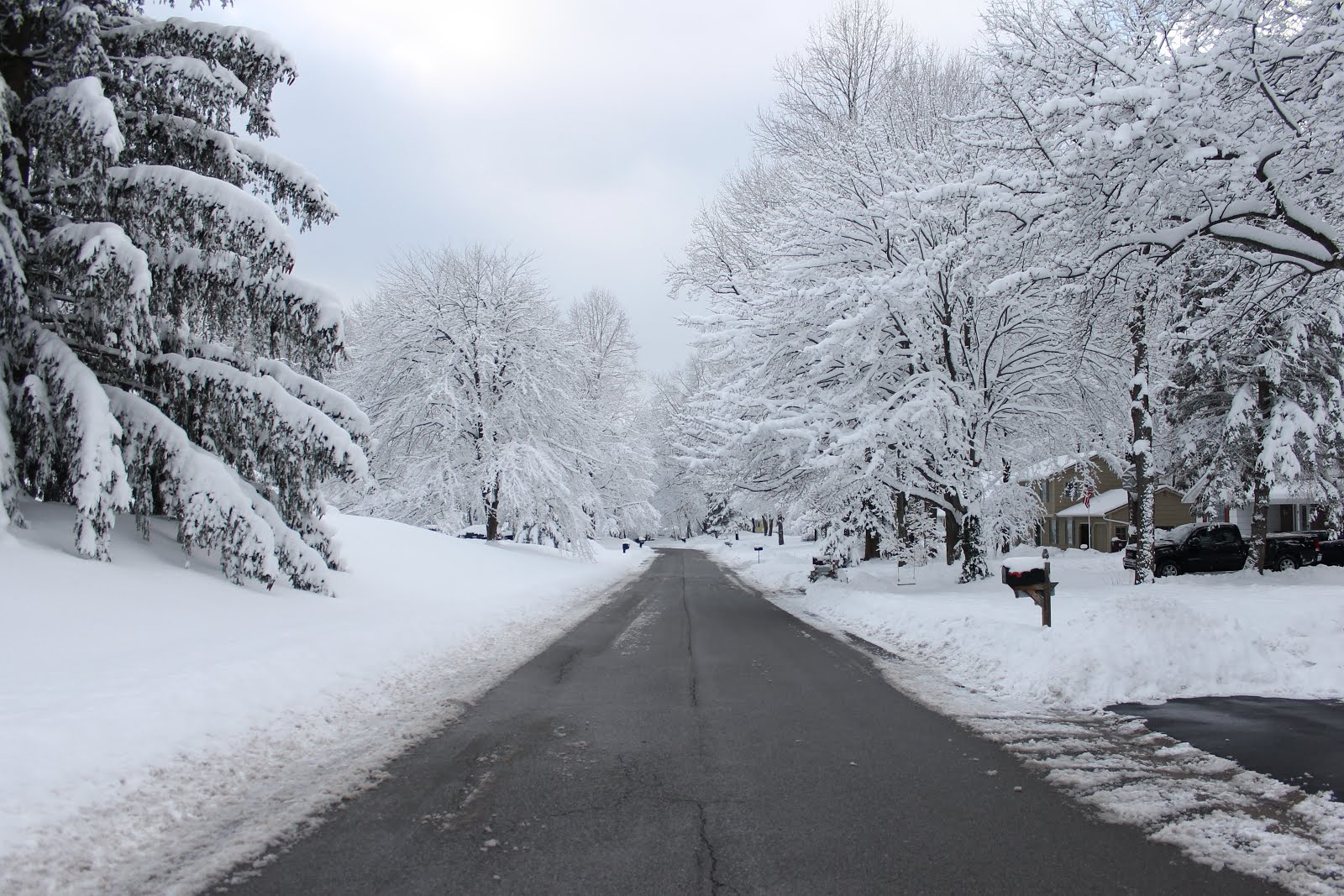 always come home: {Project 365} Day 31: Beautiful Blizzard