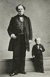 Wunderkabinett: The Amazing Feejee Mermaid