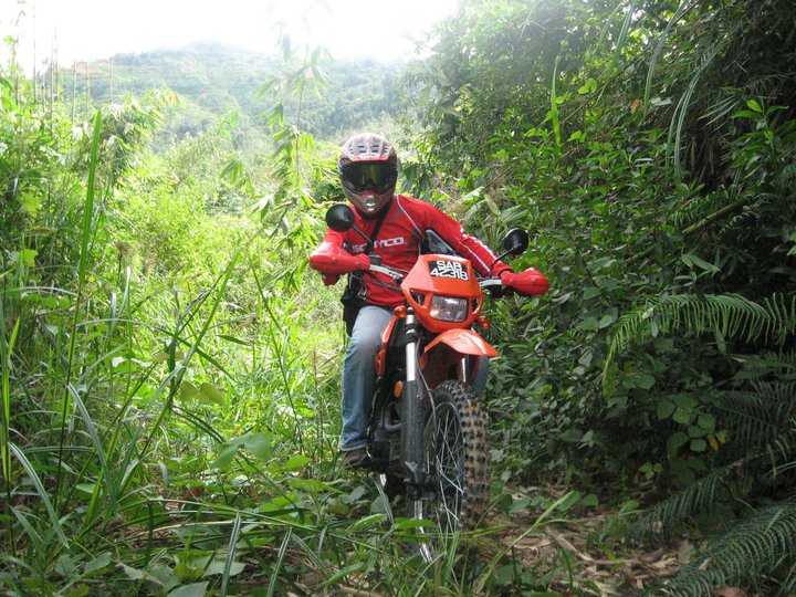 Malayisan mad dirt bikes: Demak DMX, DMXR,DTM 150cc