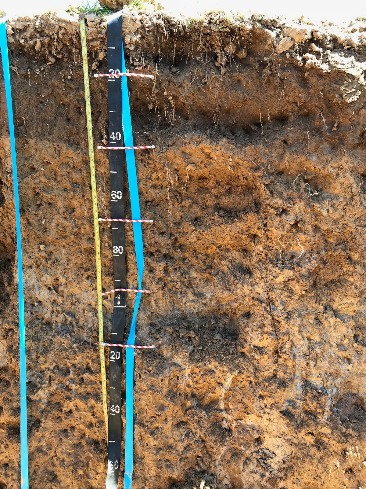 University of Minnesota Soil Judging Team