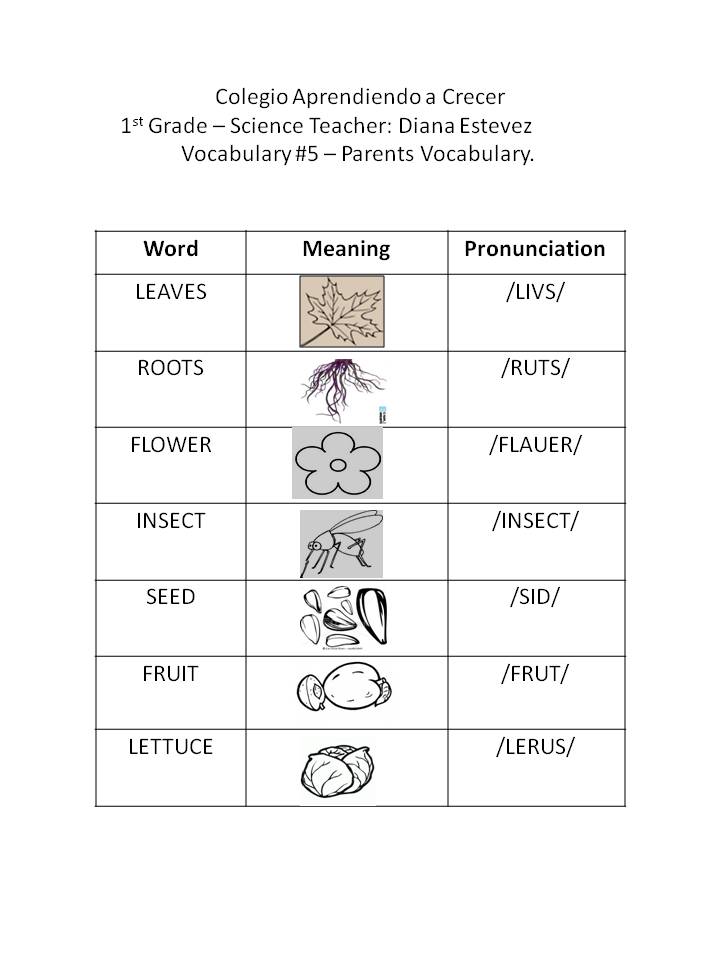 Colegio Aprendiendo a Crecer: VOCABULARIOS PRIMER GRADO