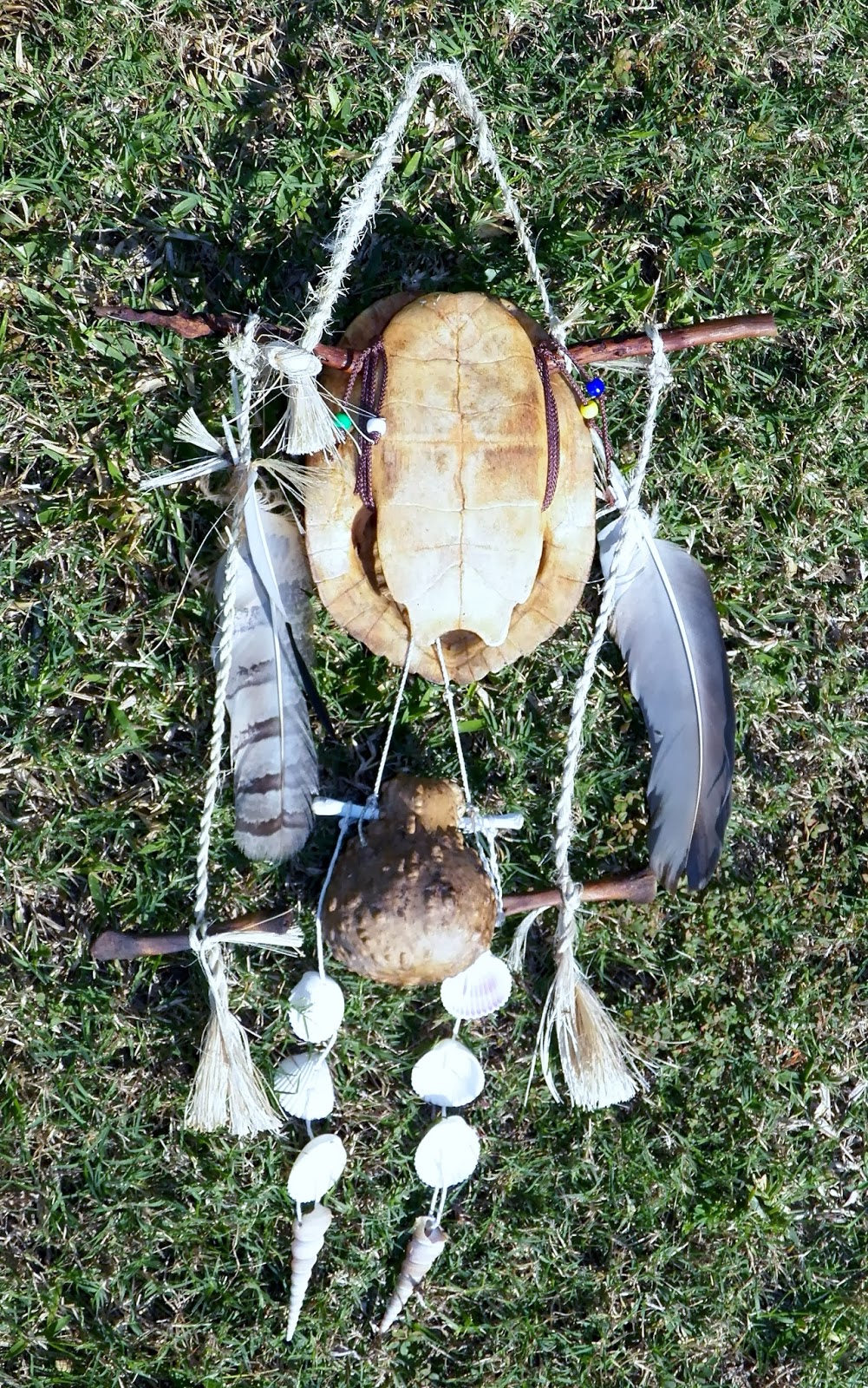 My Backyard: Indian VooDoo Turtle Shell Florida War Wind Chime