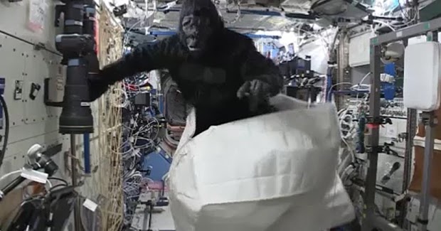 The Monkey Buddha: Gorilla in Space!