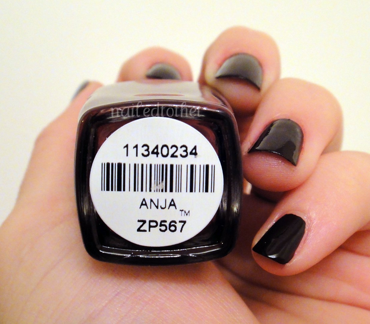 Nailed to the T: Zoya Anja & Nail-Venturous Rustic Remains