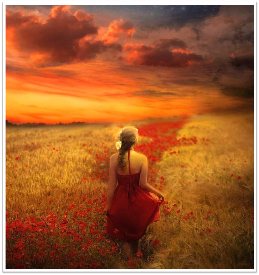 Mr.Ink: Diario di una dipendenza: Recensione: Dreamless, di Josephine ...