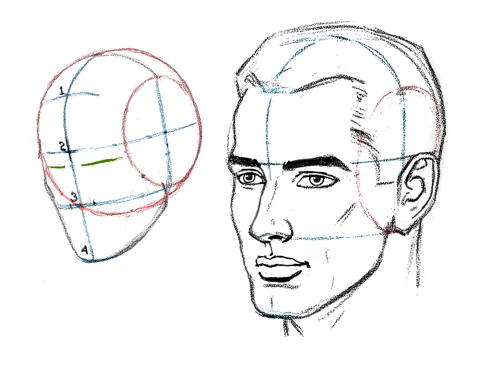 Winter 2018 Étude de la forme humaine A) // Drawing the Human form A ...