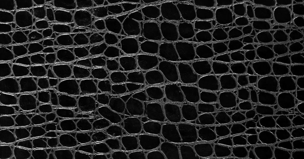 Crocodile Skin Texture