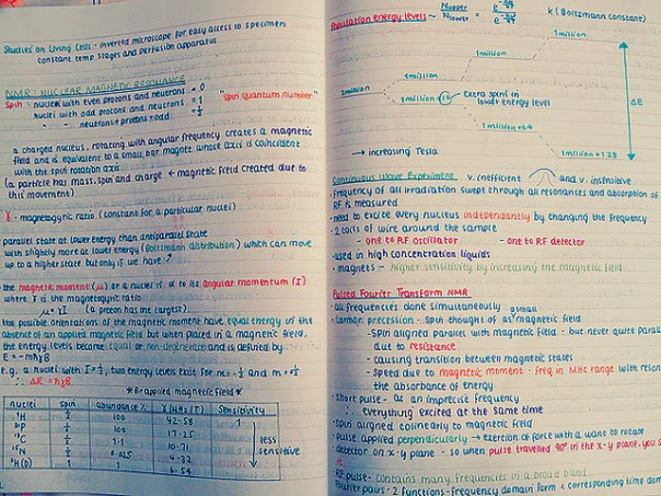 Hong Kong-Born American Doctor: Neat Notetaking