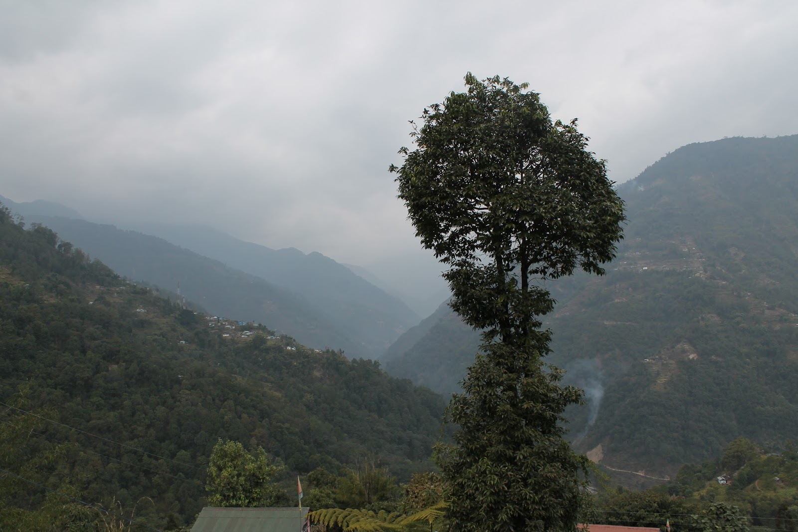 Soulful Wanderer: Darap Village - An Exotic Beauty of Sikkim