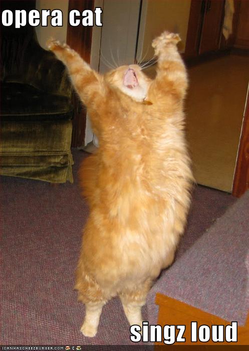 The Operacats: Other operacats (lol-cats)