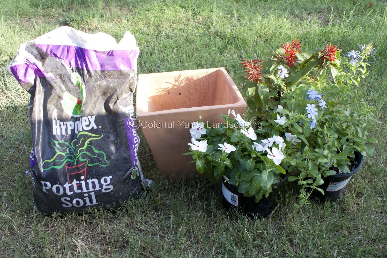 COLORFUL YARDS LANDSCAPING: Patriotic Project
