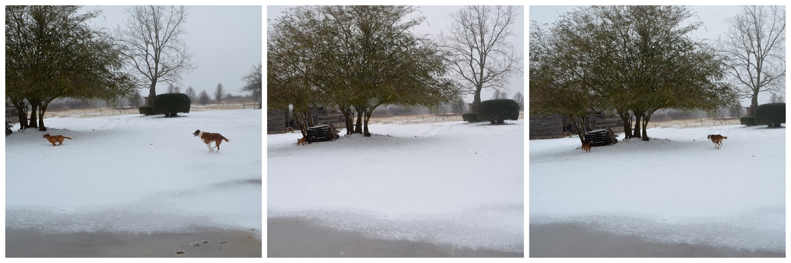 Baseball-Diamonds & Hairspray: Snowpocalypse Feb 2014