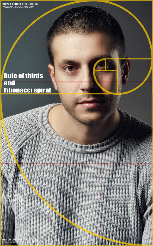 Fibonacci Sequence In Human Face