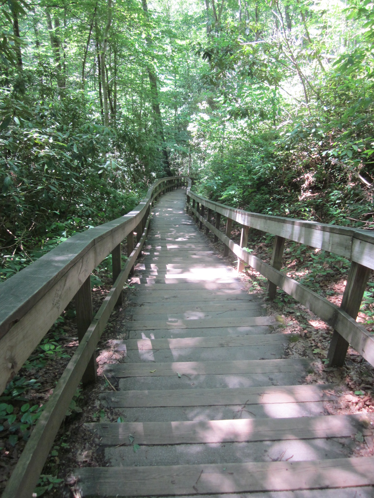 Travel NC With Kids: Mingo Falls in Cherokee - It's Still Beautifully ...