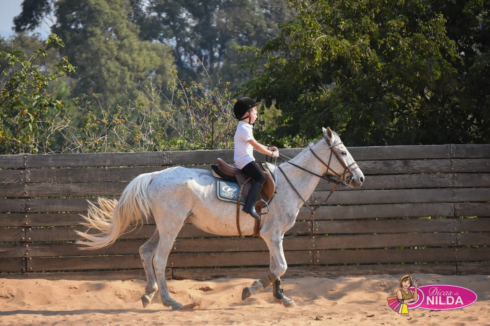 Dicas da Nilda: setembro 2017