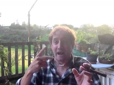 El Gobierno en la Sombra: Xebe Díez y el lenguaje de la creación del ...