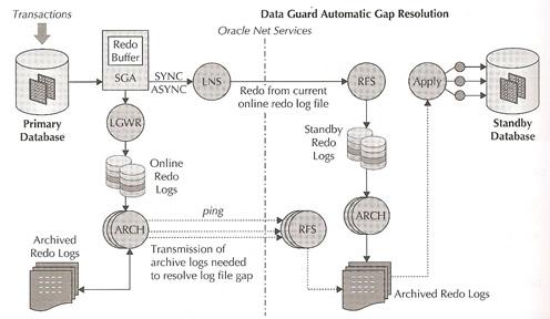One Can Succeed at Almost Anything For Which He Has Enthusiasm...: Data ...